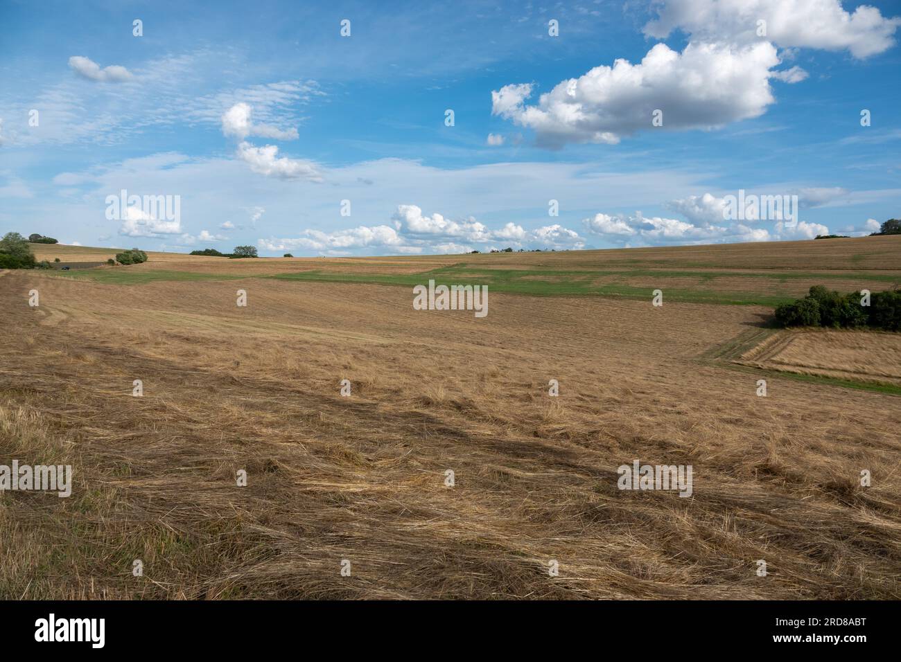 Cornfield drone footage hi-res stock photography and images - Alamy