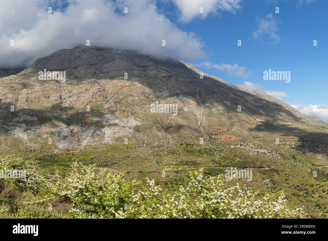 Kedros Massif, Crete, Greek Islands, Greece, Europe Stock Photo - Alamy
