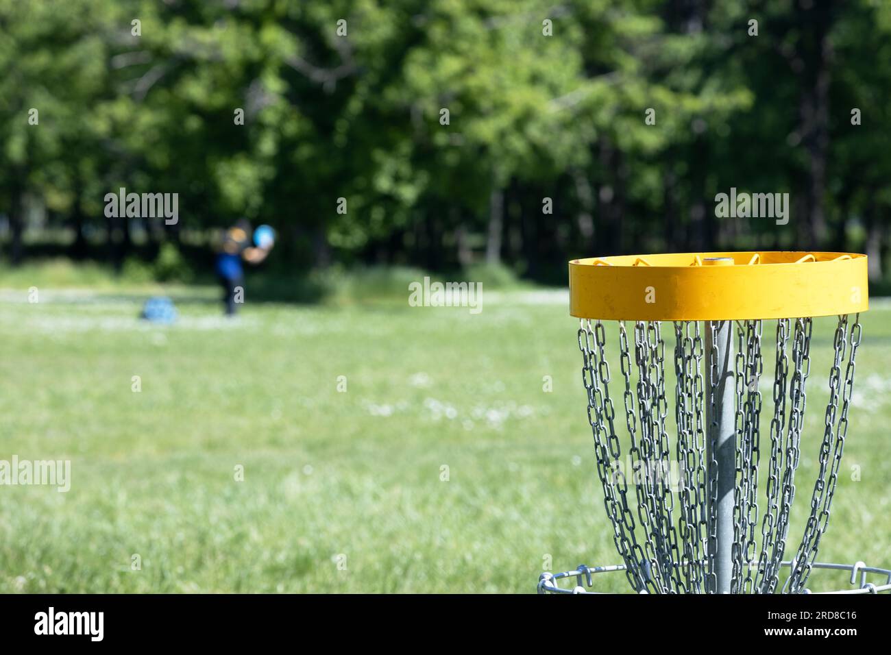 Disc golf sport game in the public park Stock Photo - Alamy