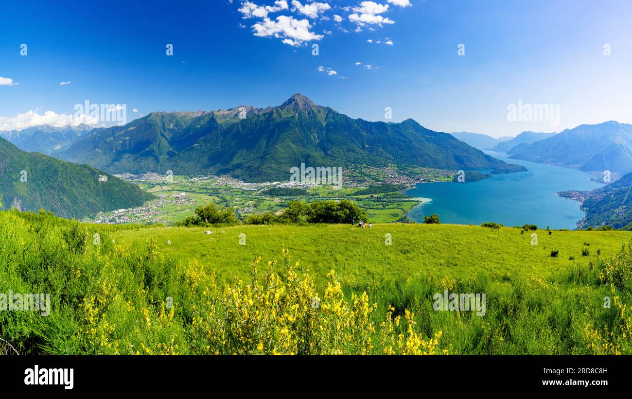 Panoramic of Monte Legnone and Alto Lario from flowering meadows above ...