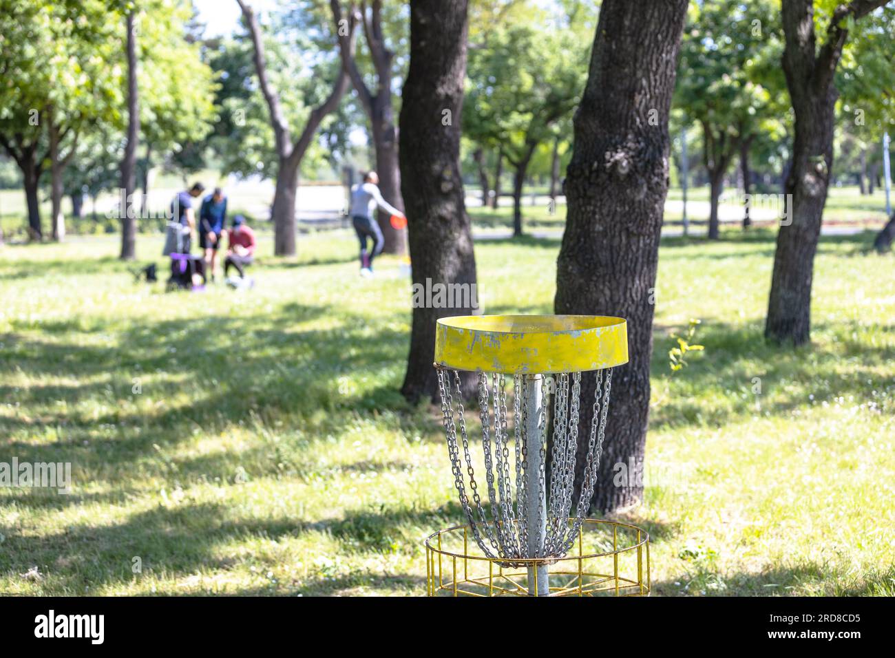 Disc golf sport game in the public park Stock Photo - Alamy