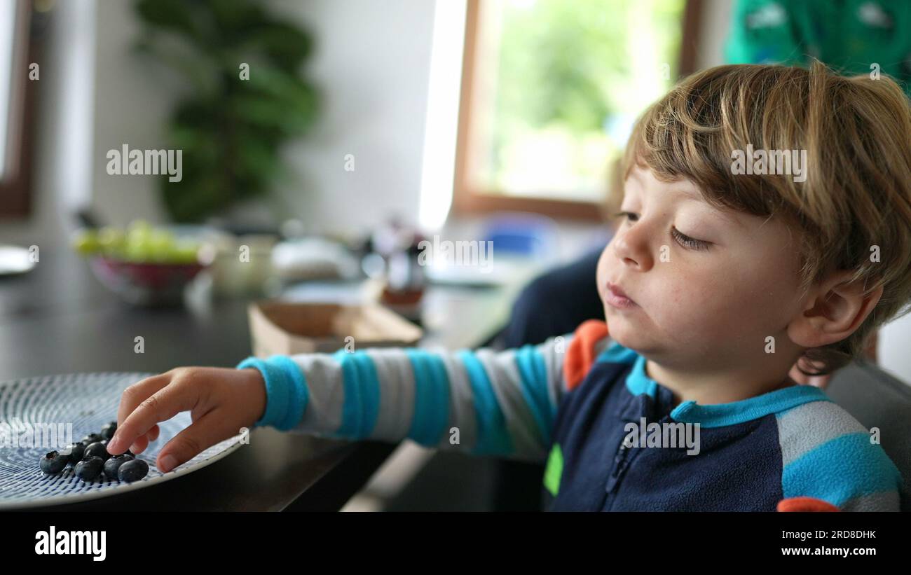 Child eating blueberry fruit from plate Stock Photo - Alamy
