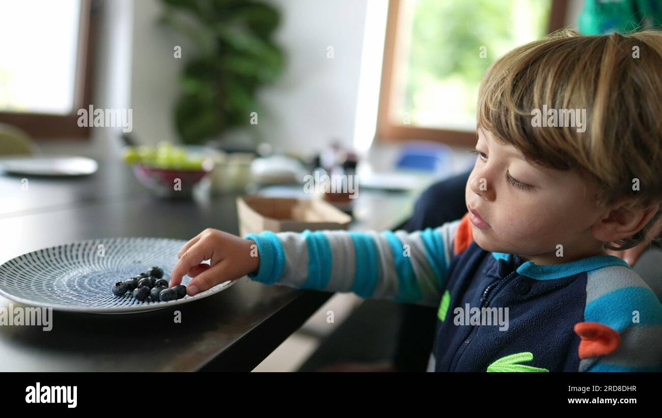 Child eating blueberry fruit from plate Stock Photo - Alamy
