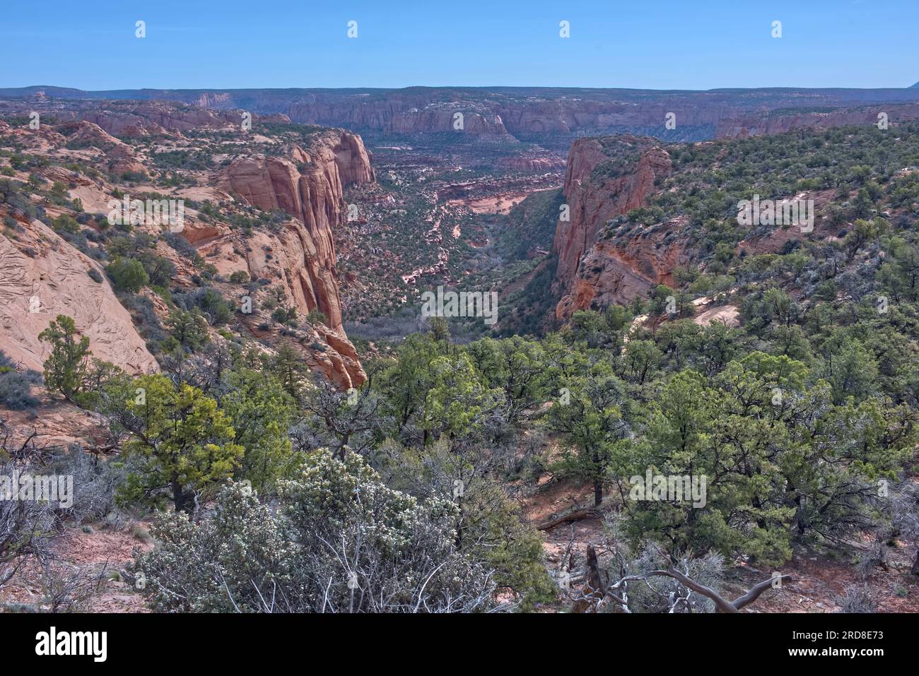 Betatakin Canyon, Navajo National Monument, inside the Navajo Indian ...