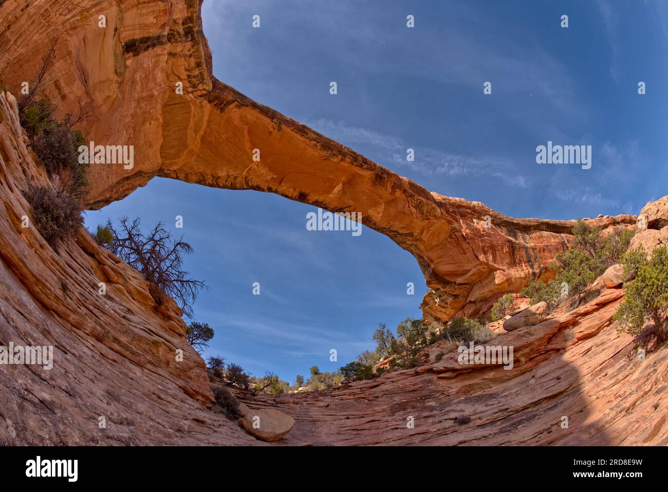The Owachomo Bridge (Rock Mound in Hopi), Natural Bridges National ...