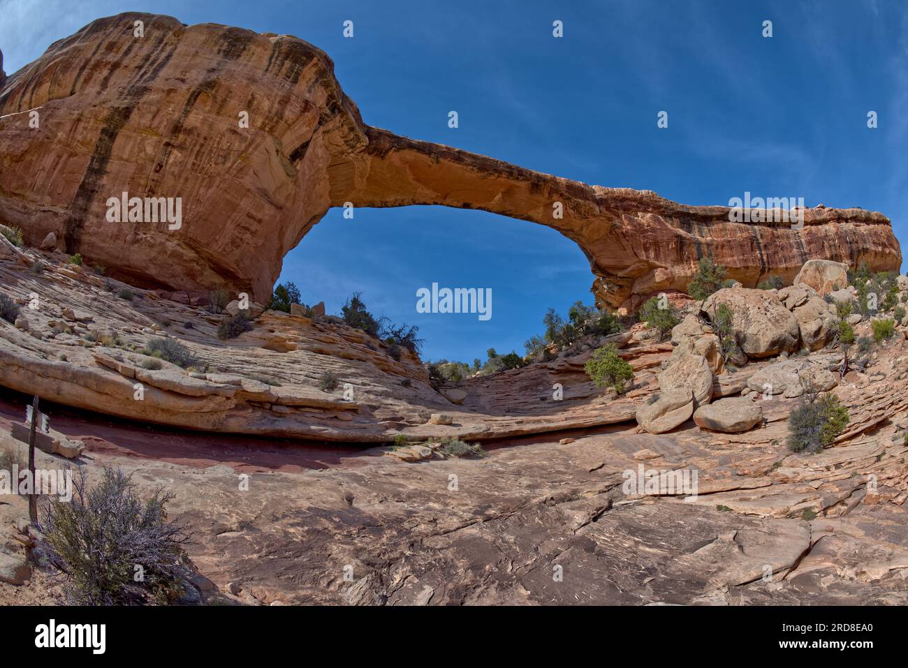 The Owachomo Bridge (Rock Mound in Hopi), Natural Bridges National ...