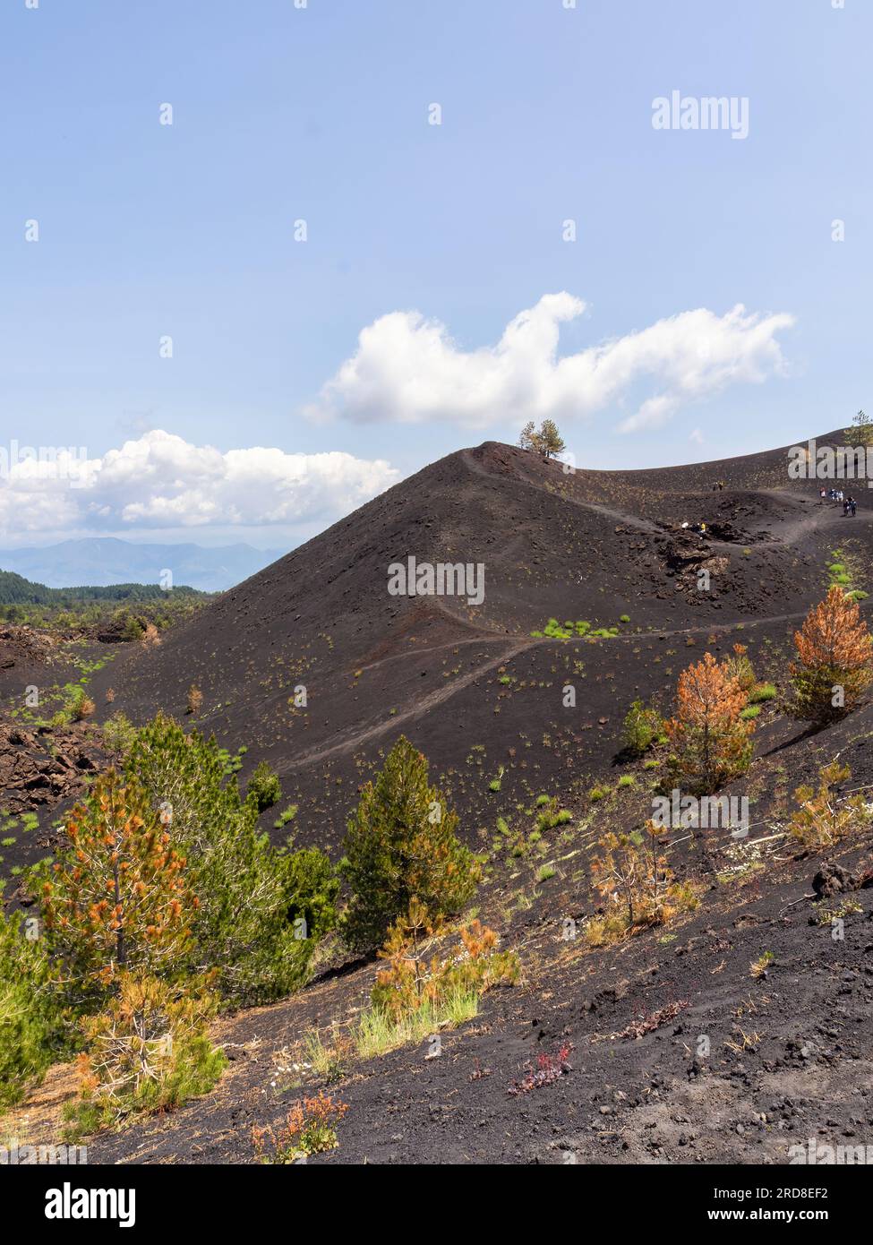 329 meters high hi-res stock photography and images - Alamy