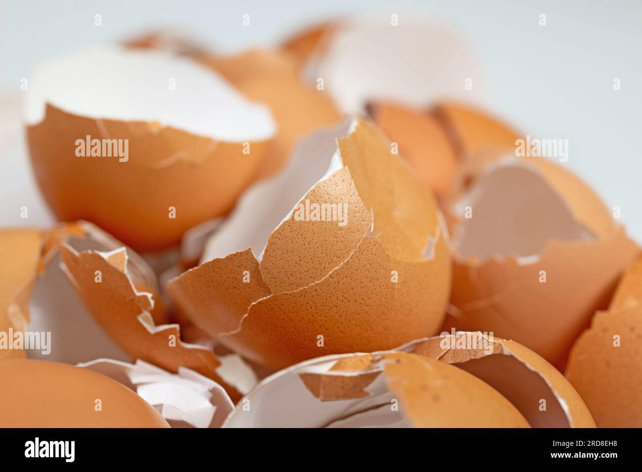 Egg shell compost hi-res stock photography and images - Alamy