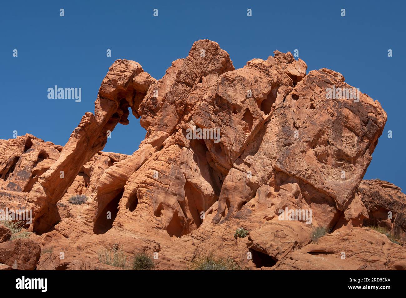 Elephant rock formation hi-res stock photography and images - Alamy
