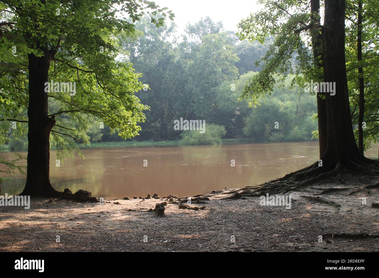 Cliffs of the Neuse State Park Stock Photo - Alamy