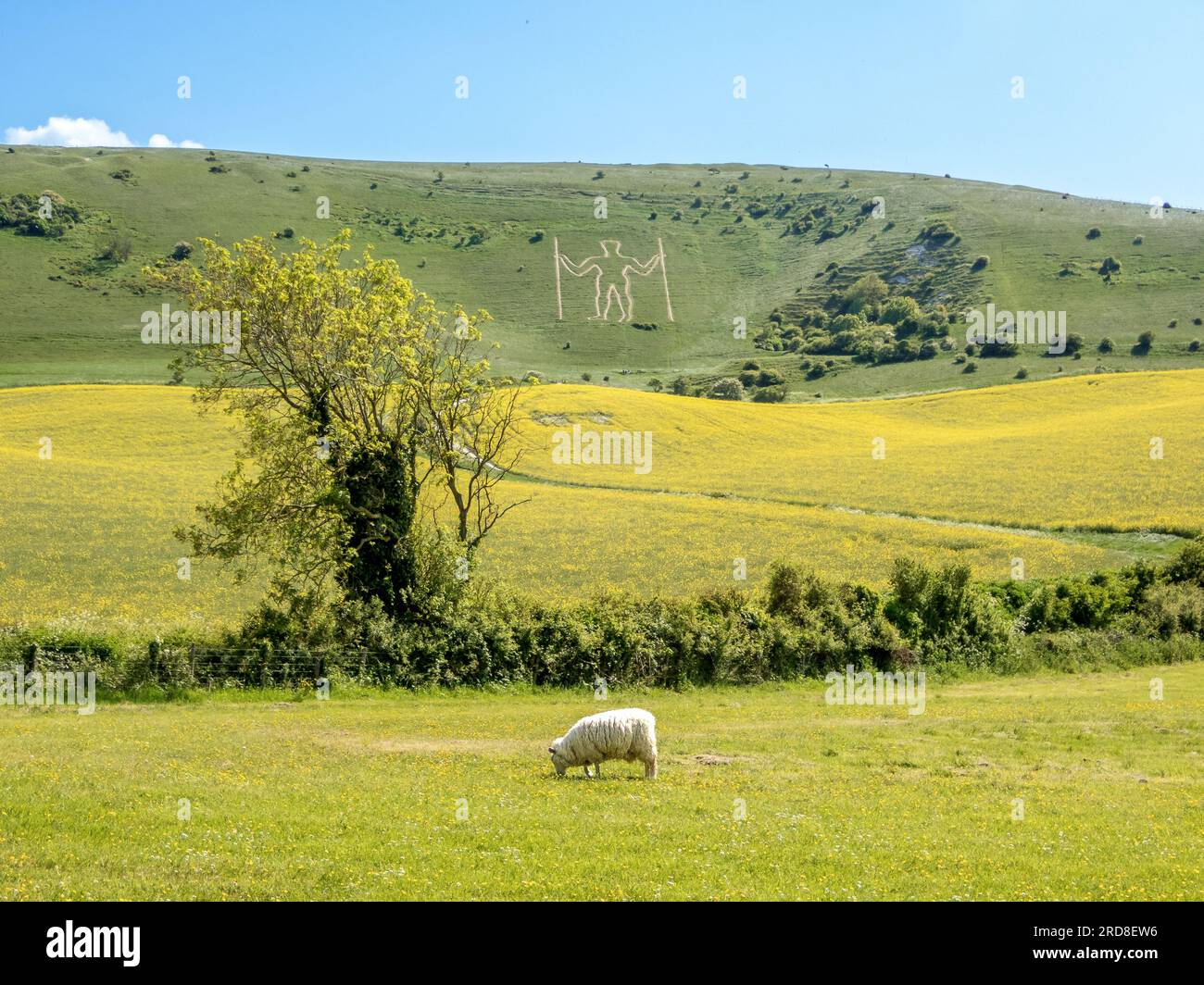 The Long Man of Wilmington, a hill carving on the Sussex Downs ...