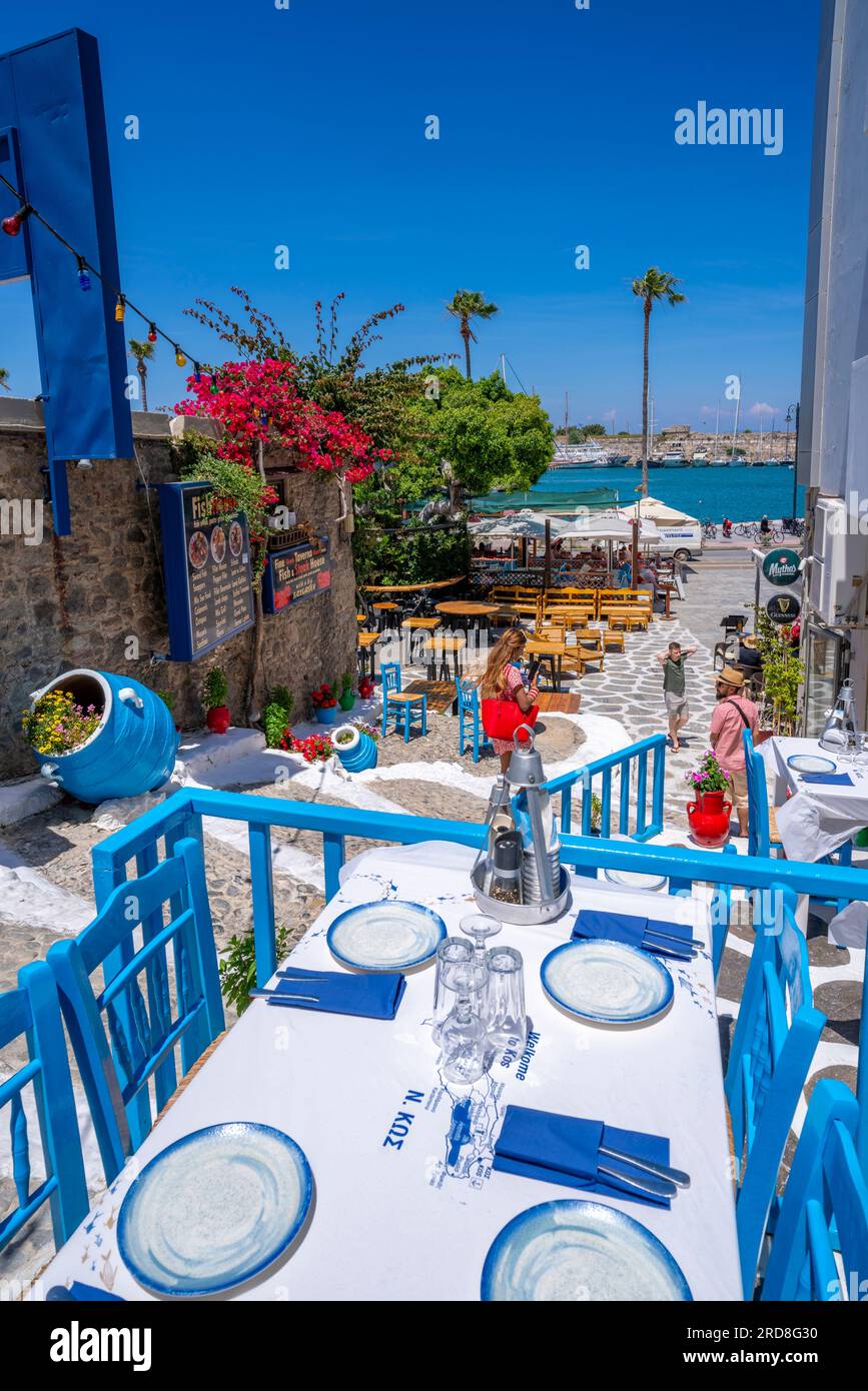 View of colourful local Taverna overlooking Kos Harbour, Kos Town, Kos ...