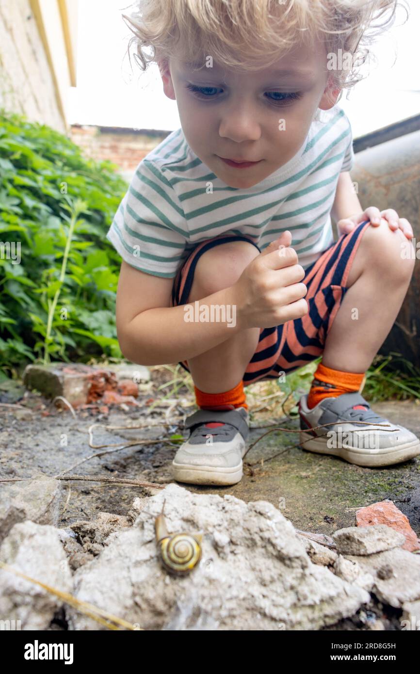 A little boy discovered a snail with a shell in the garden Stock Photo ...