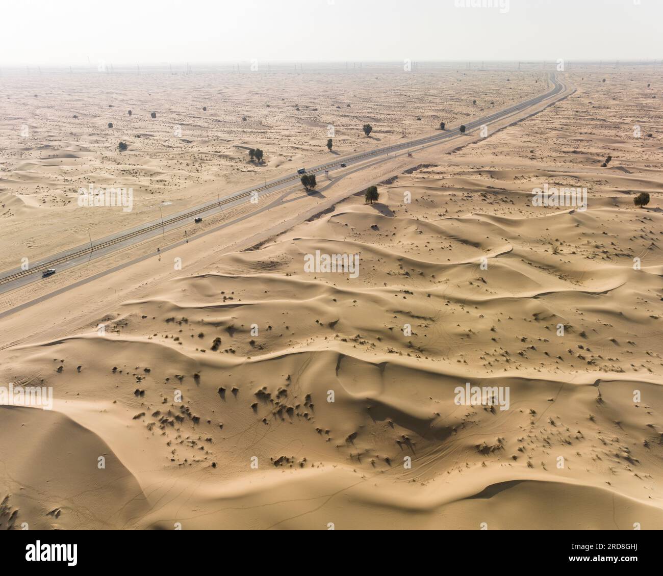 Al Qudra Desert, Dubai, United Arab Emirates, Middle East Stock Photo ...