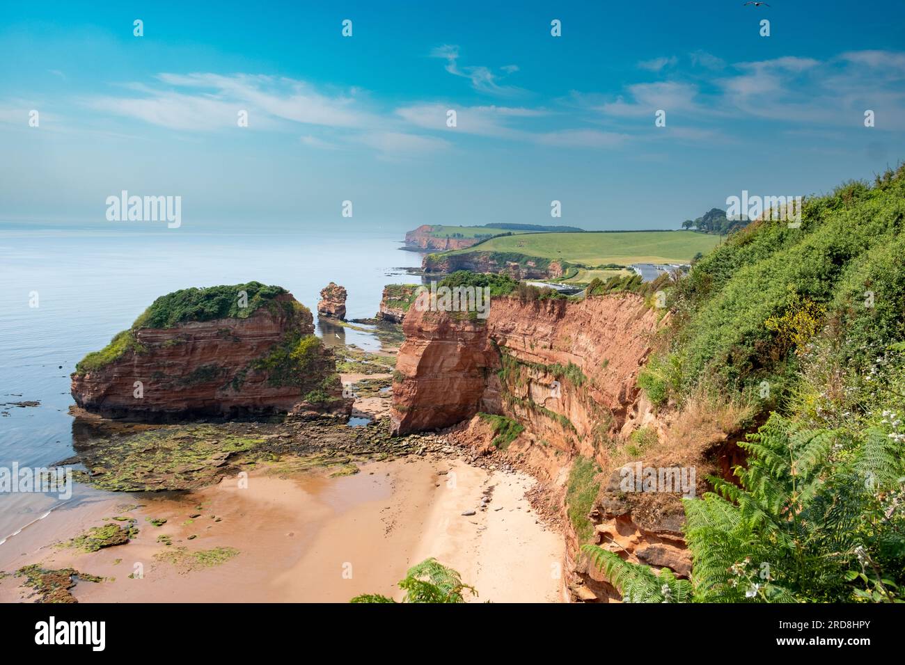 Ness cove devon hi-res stock photography and images - Alamy
