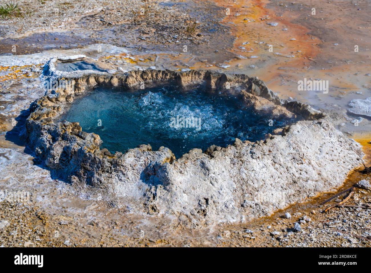 geyser, yellowstone, national park, wyoming, nature, landscape, travel ...
