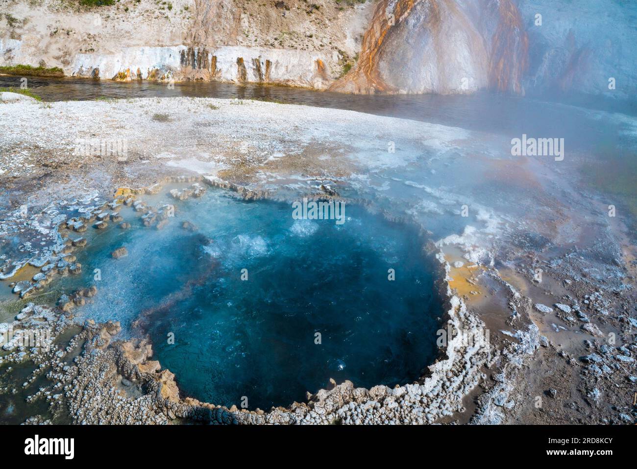 geyser, yellowstone, national park, wyoming, nature, landscape, travel ...