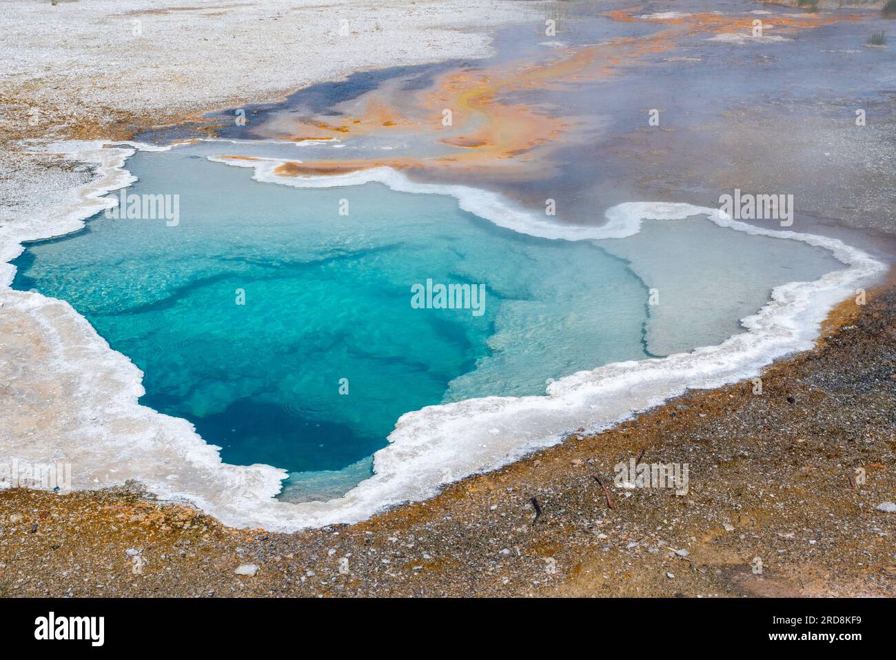 geyser, yellowstone, national park, wyoming, nature, landscape, travel ...