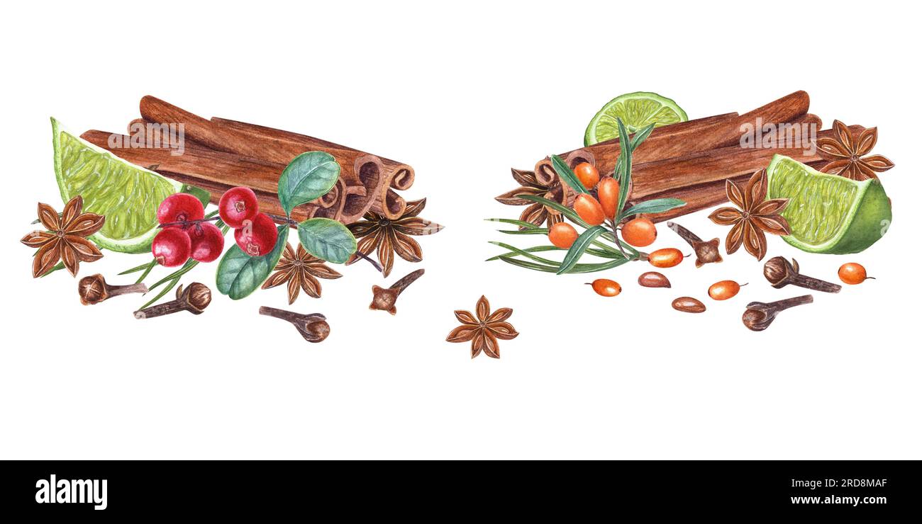 Cinnamon sticks, red huckleberry, sea buckthorn, lime slice, pine ...