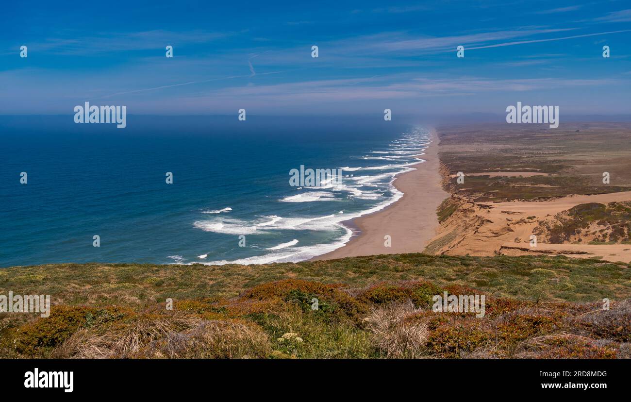 POINT REYES, CALIFORNIA, USA - Point Reyes National Seashore Stock ...