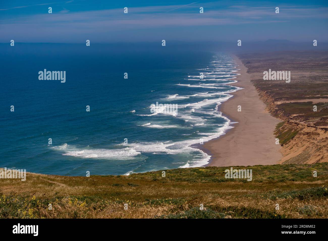 POINT REYES, CALIFORNIA, USA - Point Reyes National Seashore Stock ...