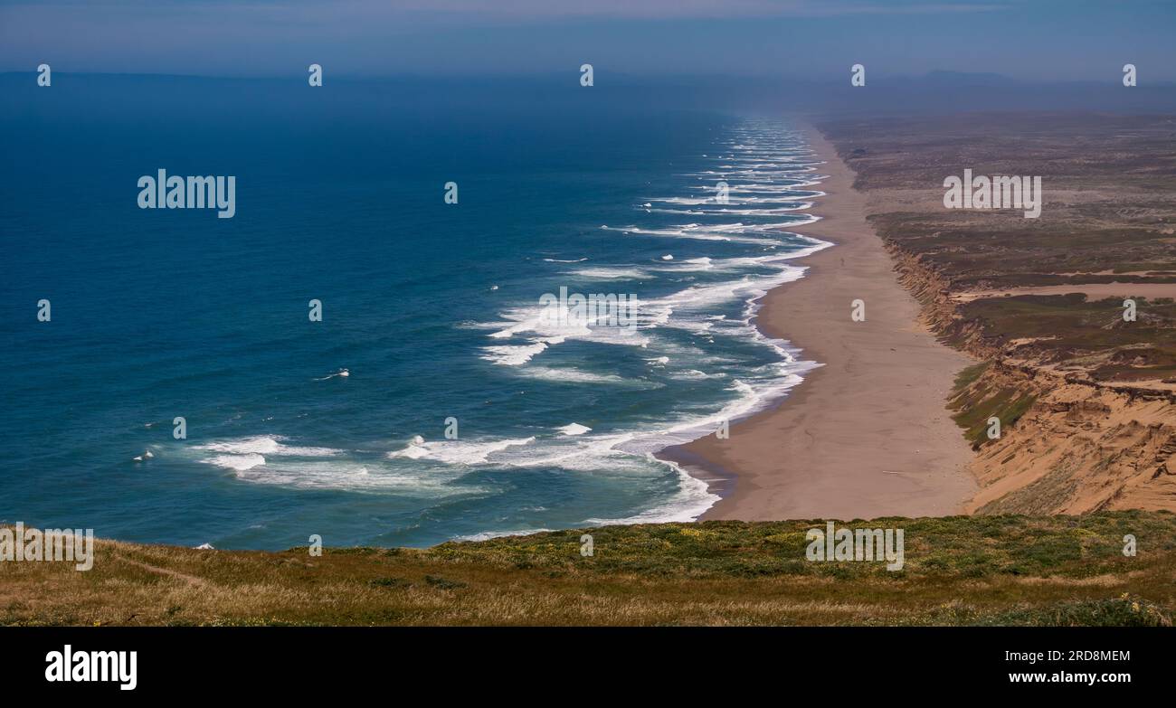 POINT REYES, CALIFORNIA, USA - Point Reyes National Seashore Stock ...
