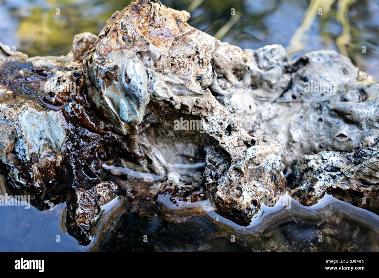 Compounds collection hi-res stock photography and images - Alamy