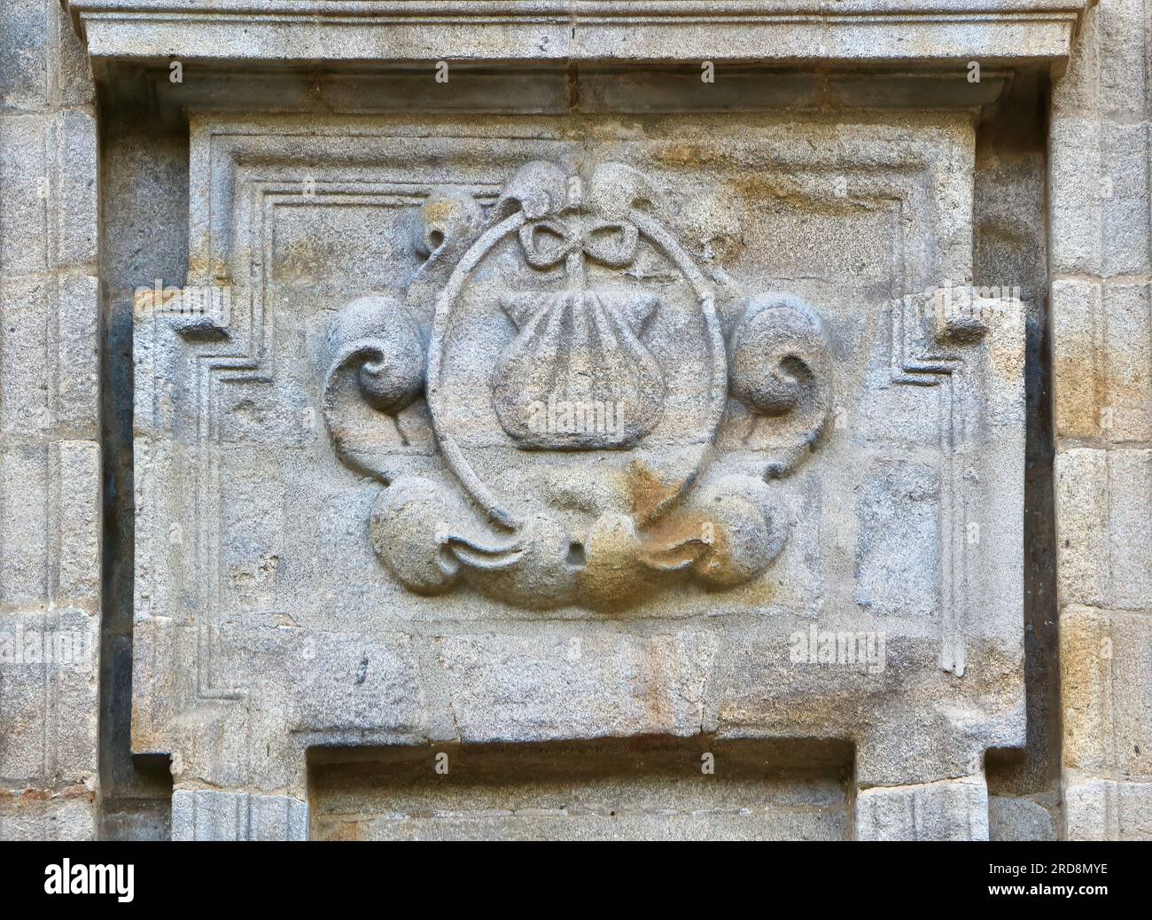 Shell wall hi-res stock photography and images - Alamy