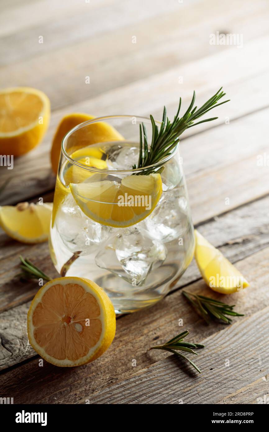 Gin tonic with ice, rosemary, and lemon slices in frosted glass ...