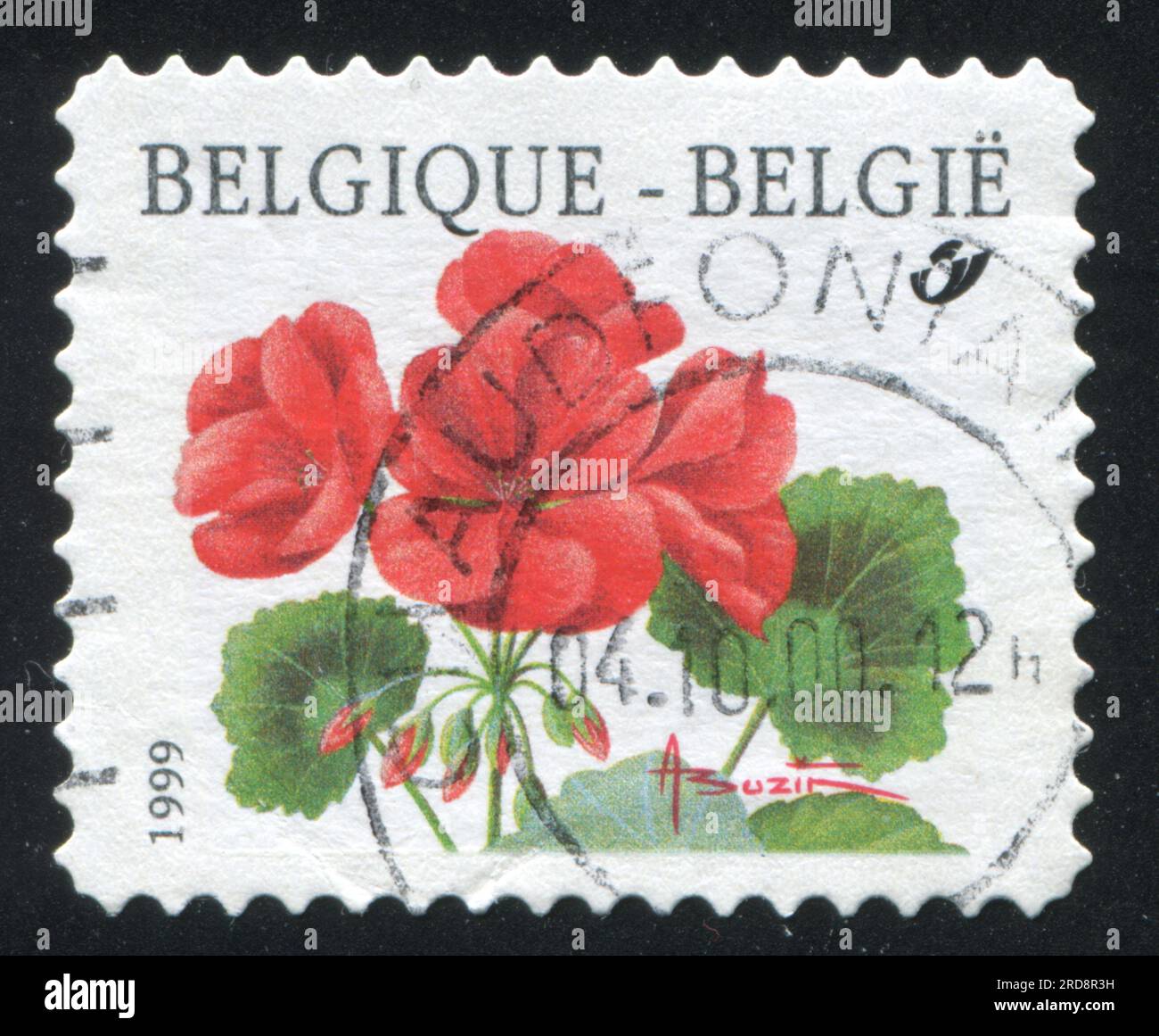 BELGIUM - CIRCA 1999: stamp printed by Belgium, shows flower Geranium ...