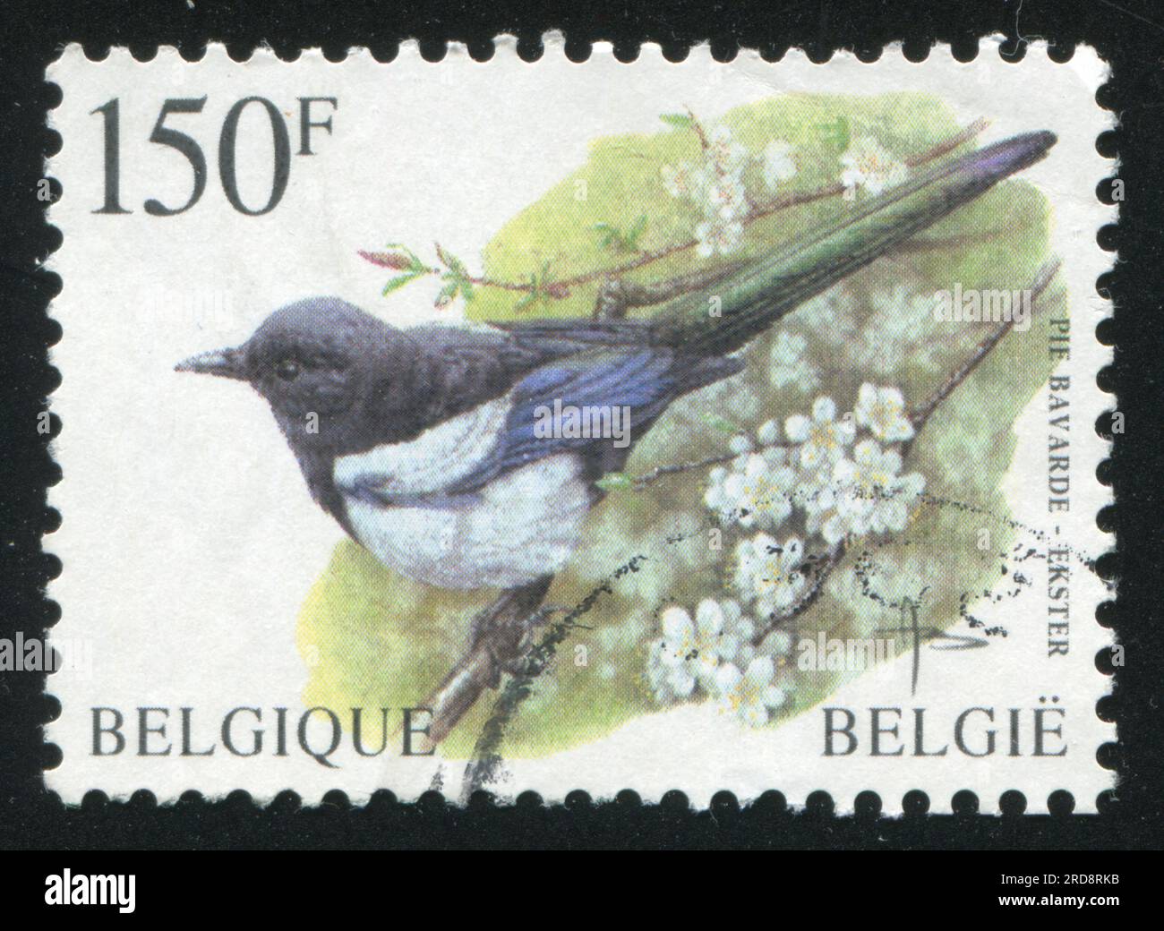 RUSSIA KALININGRAD, 20 OCTOBER 2015: stamp printed by Belgium, shows ...