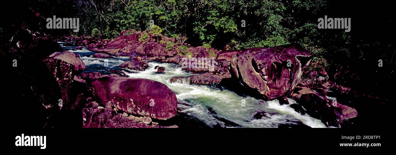 Australia. Queensland. Tully River Stock Photo - Alamy