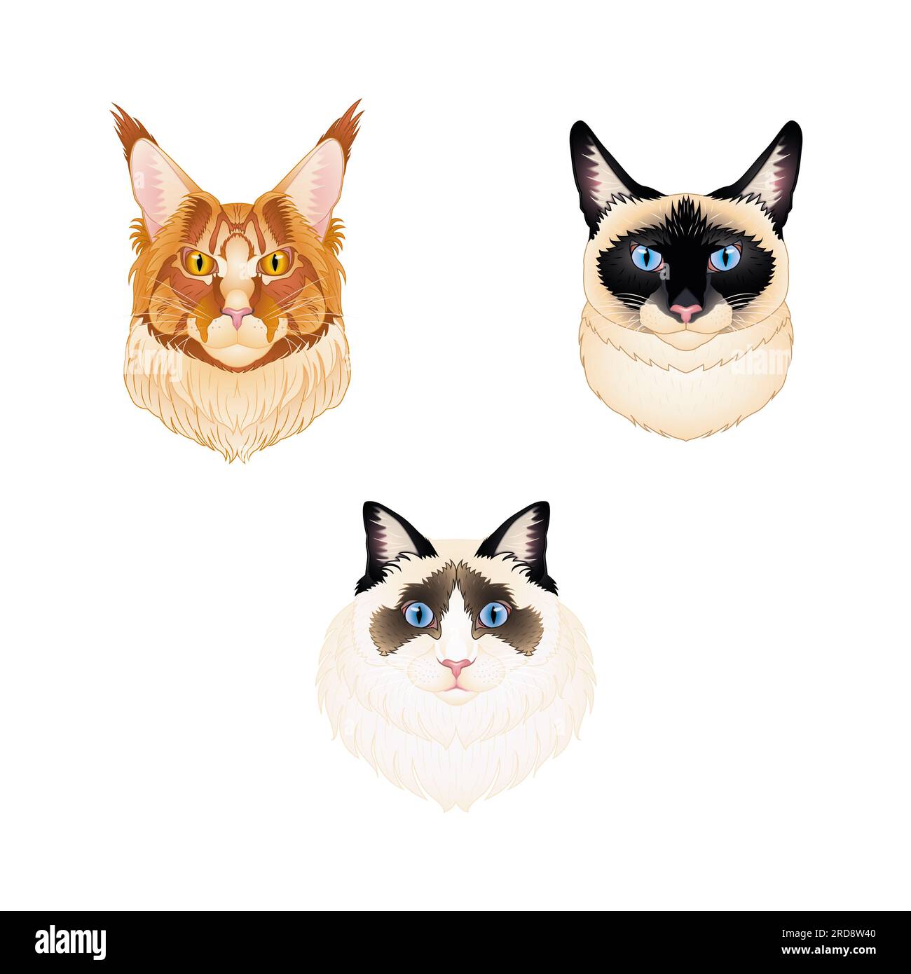 vector set cats Stock Photo - Alamy