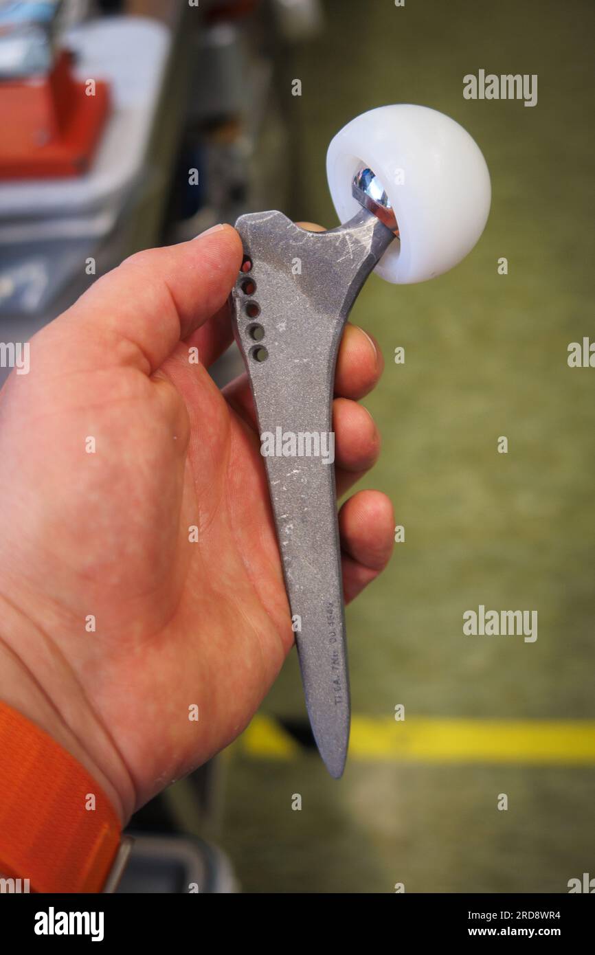 a straight explanted hip prosthesis was cleaned after surgery Stock ...