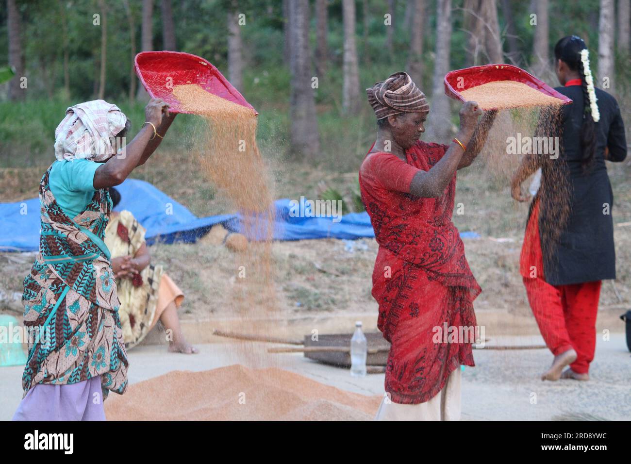 Agriculture workers hi-res stock photography and images - Alamy