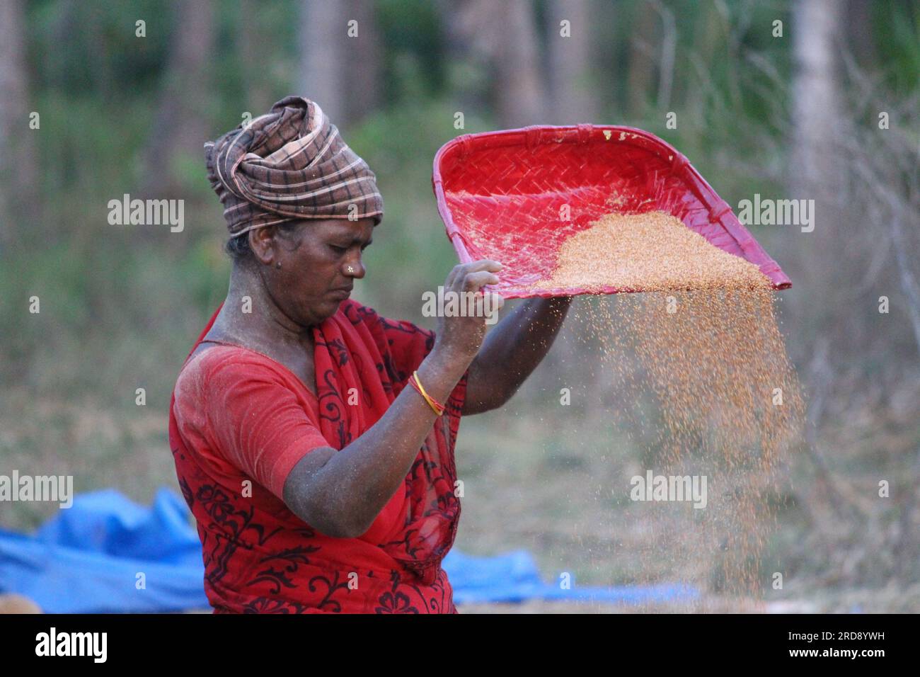 Agriculture workers hi-res stock photography and images - Alamy