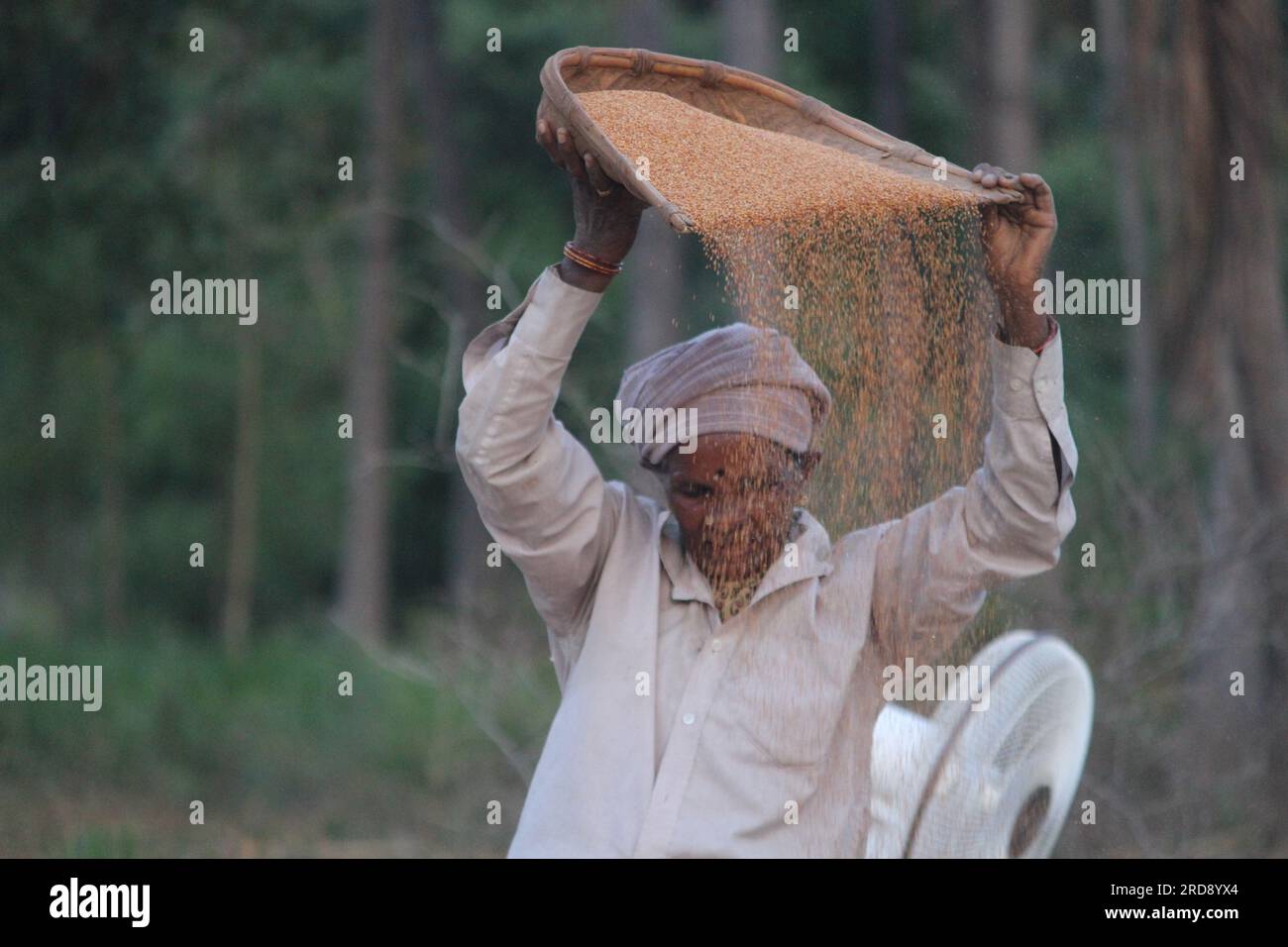 Agriculture workers hi-res stock photography and images - Alamy