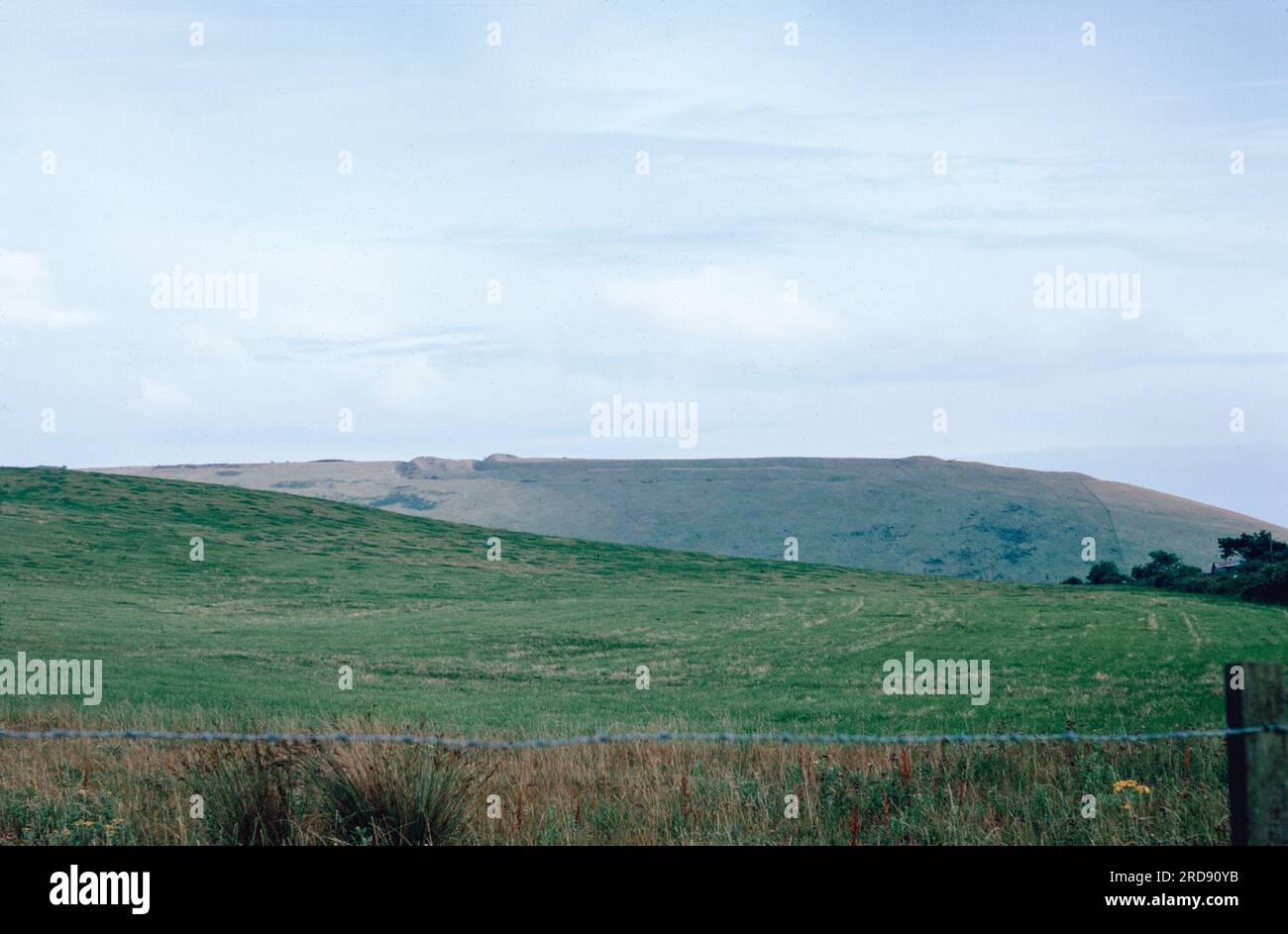 Bindon Hill - Iron Age earthwork near Lulworth Cove in Dorset. Visible ...