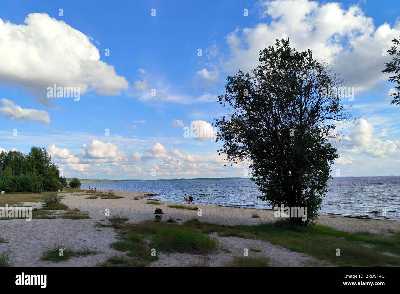 Russian Federation. Republic of Karelia. July, summer. Onega Lake, the ...