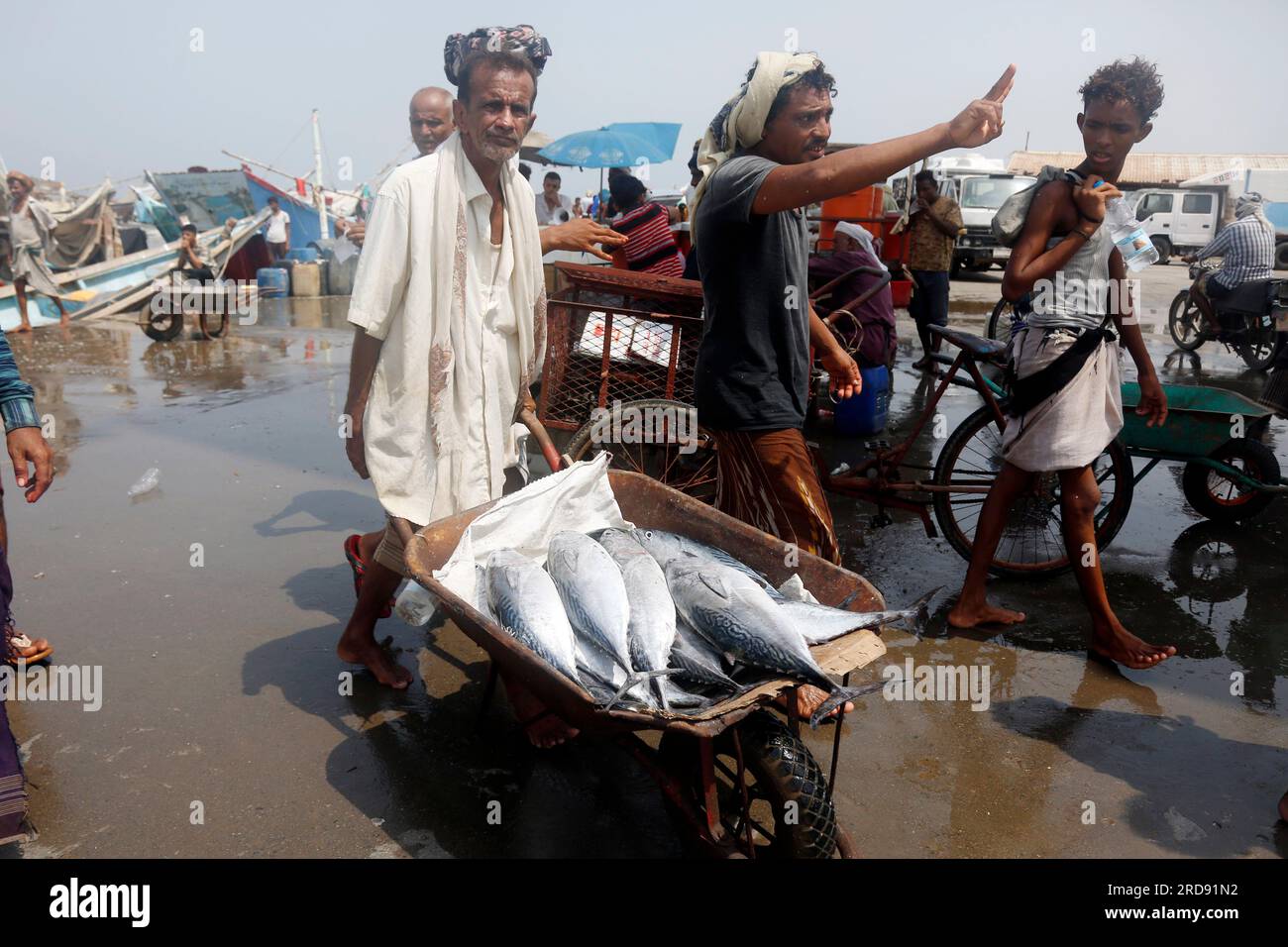 Fish market yemen hi-res stock photography and images - Alamy