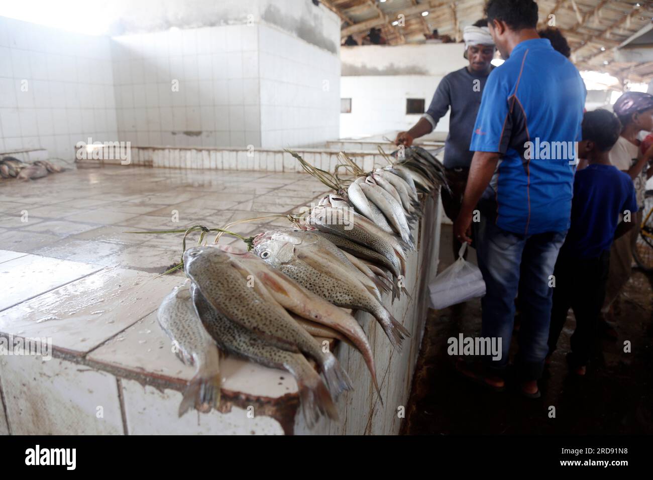 Hodeidah, Yemen. 19th July, 2023. Local residents buy fish at a fish ...