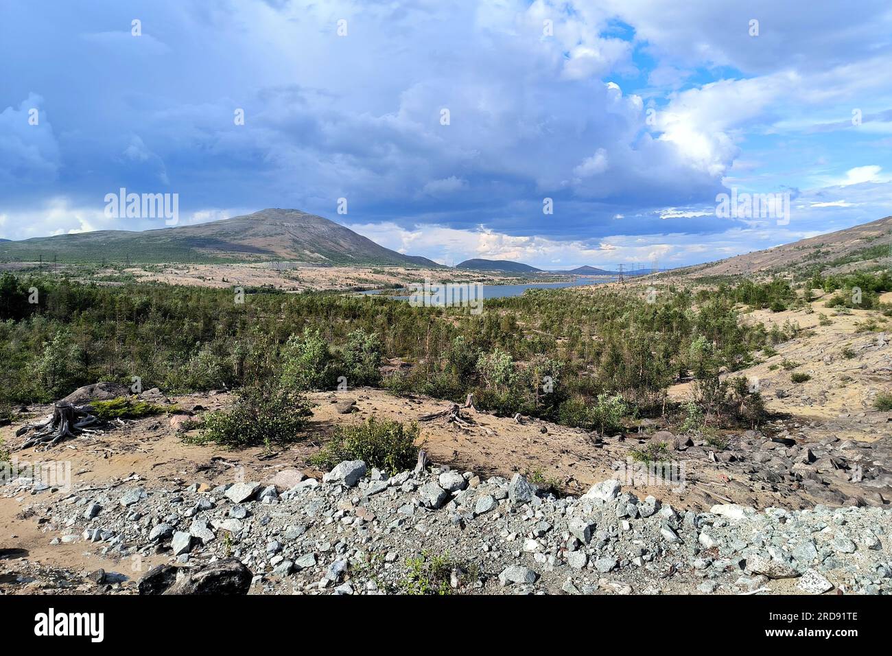 Russian Federation. Murmansk region. The Kola Peninsula. The region of the Far North. July ...