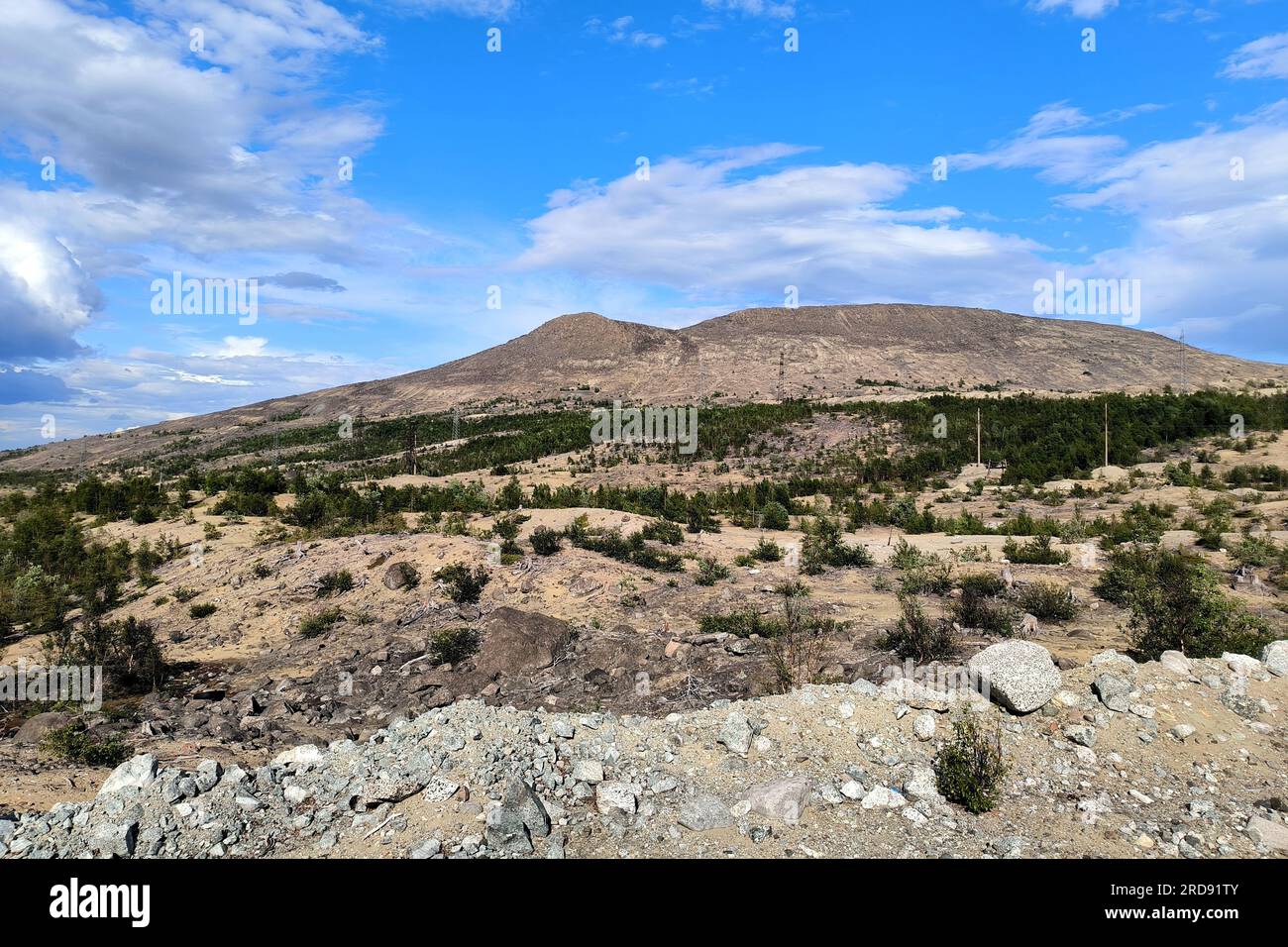 Russian Federation. Murmansk region. The Kola Peninsula. The region of the Far North. July ...