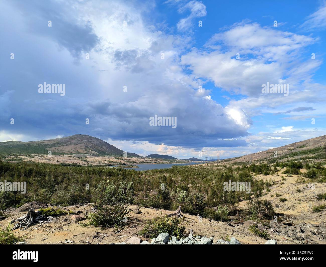 Russian Federation. Murmansk region. The Kola Peninsula. The region of the Far North. July ...
