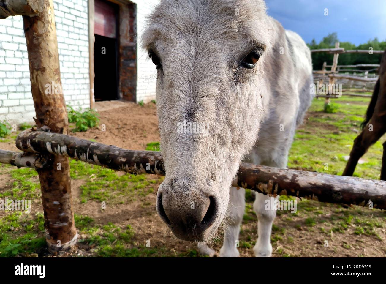 Russian Federation. Murmansk region. The Kola Peninsula. The region of ...