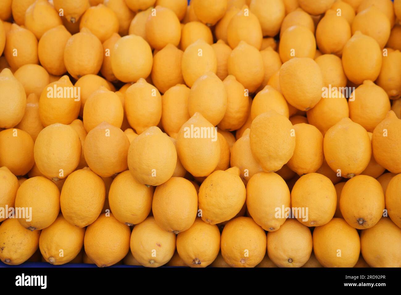Lemon selling in supermarkets in istanbul Stock Photo - Alamy