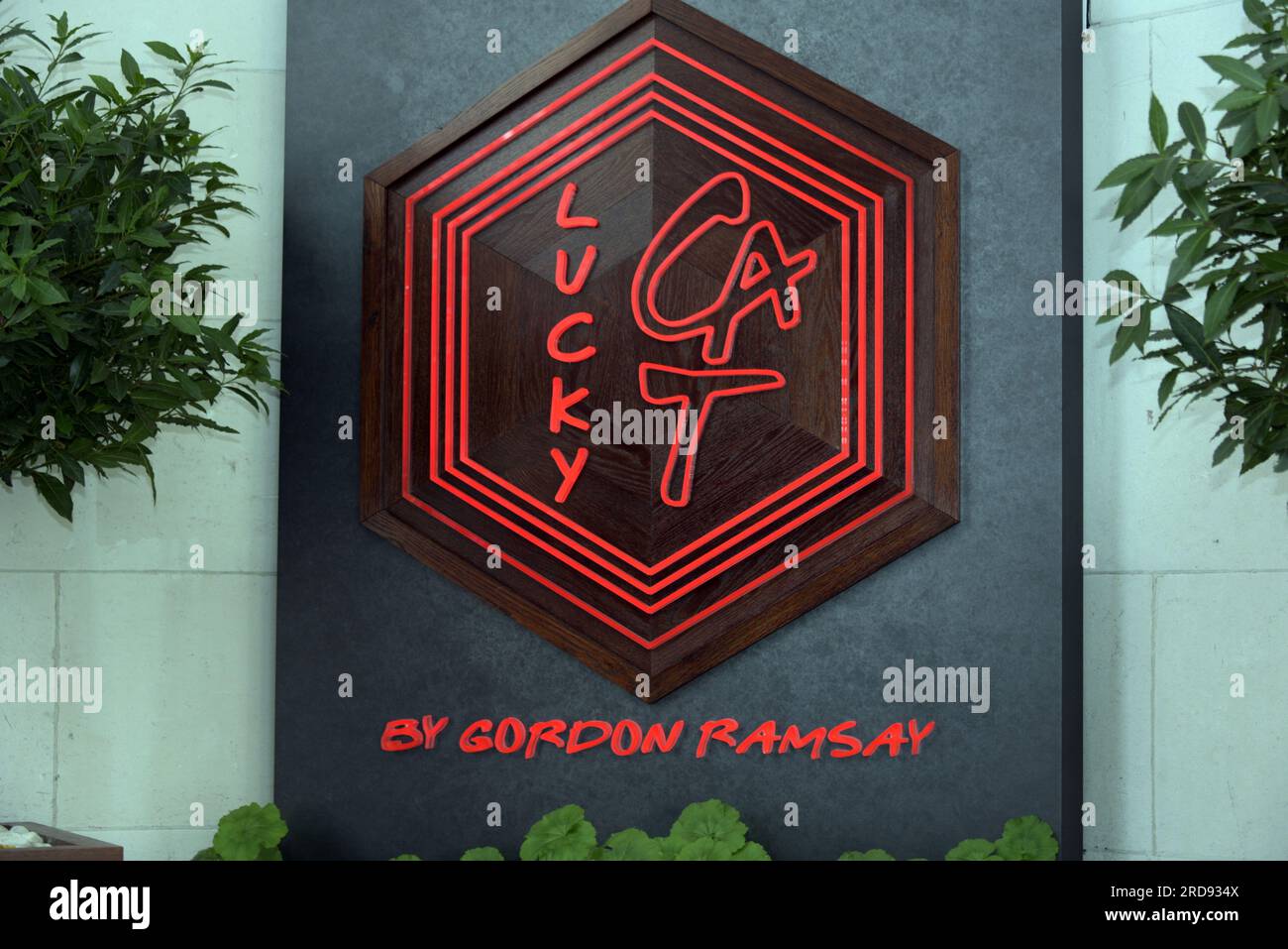 Sign at entrance for the Mancunian Lucky Cat, located in a grand 1930s ...