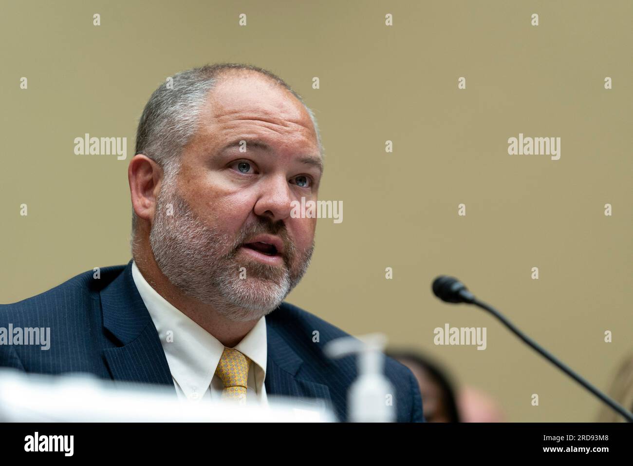 IRS Supervisory Special Agent Gary Shapley, testifies to a House ...