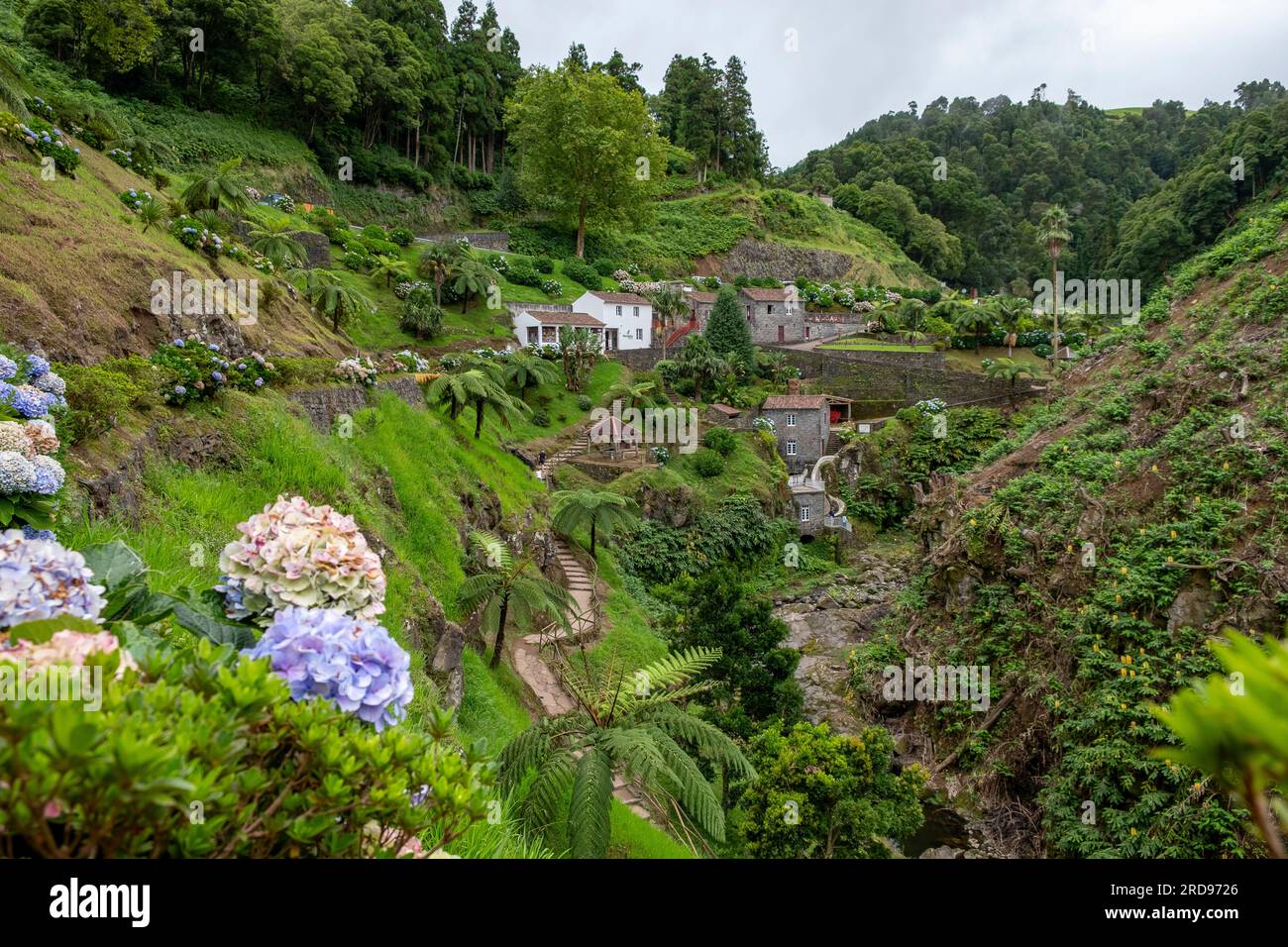 Landscape view of the beautiful Botanical Garden of Ribeira do ...