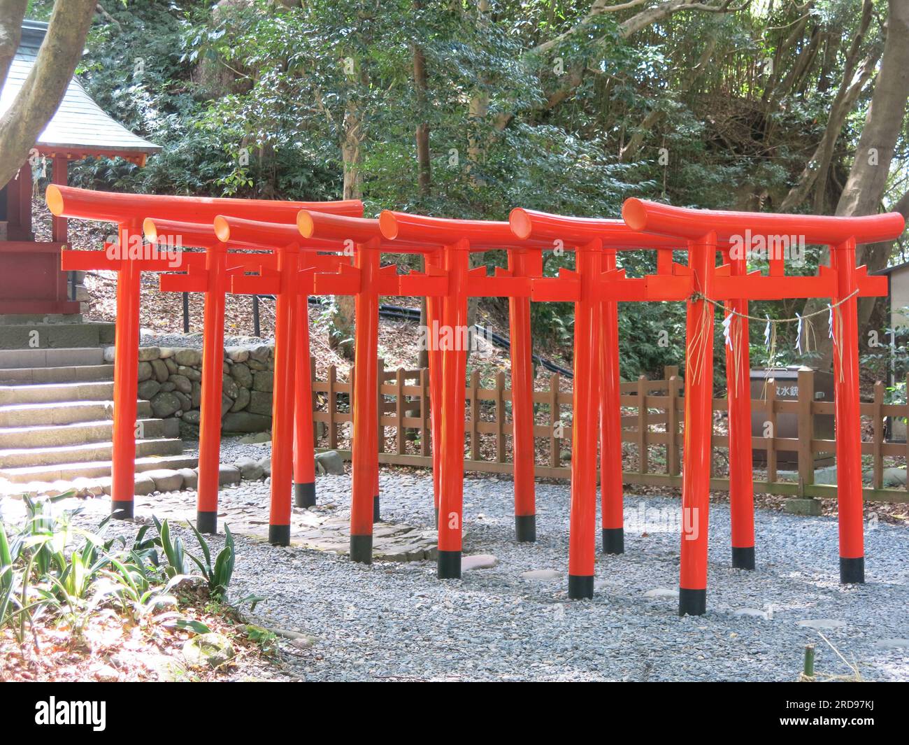 Iconic symbols of Japan: a row of small red Torii gates at the shinto ...
